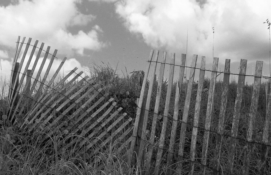 Black and White – Tom Conway Photographer Cincinnati Ohio